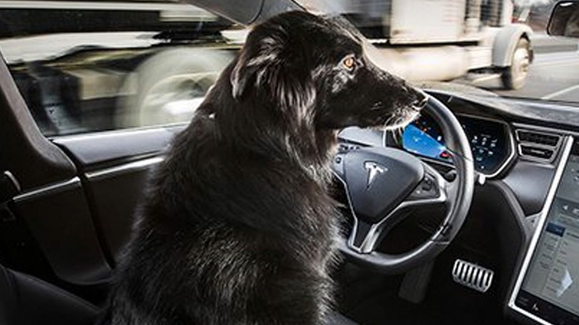 Musk: Telsa's first fully autonomous car to appear within six months ...