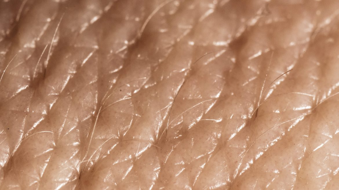 Scientists have 3D printed functioning artificial human skin ...