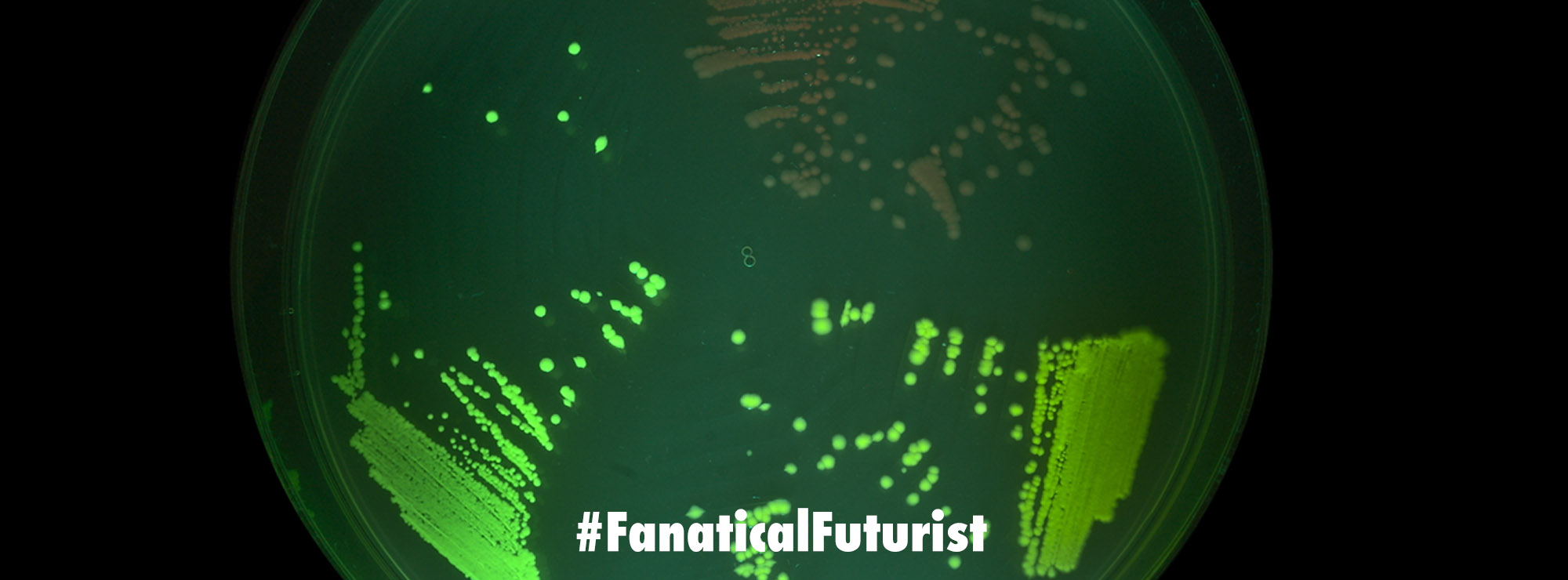 The first ever bacterial display can run DOOM really slowly – Matthew ...