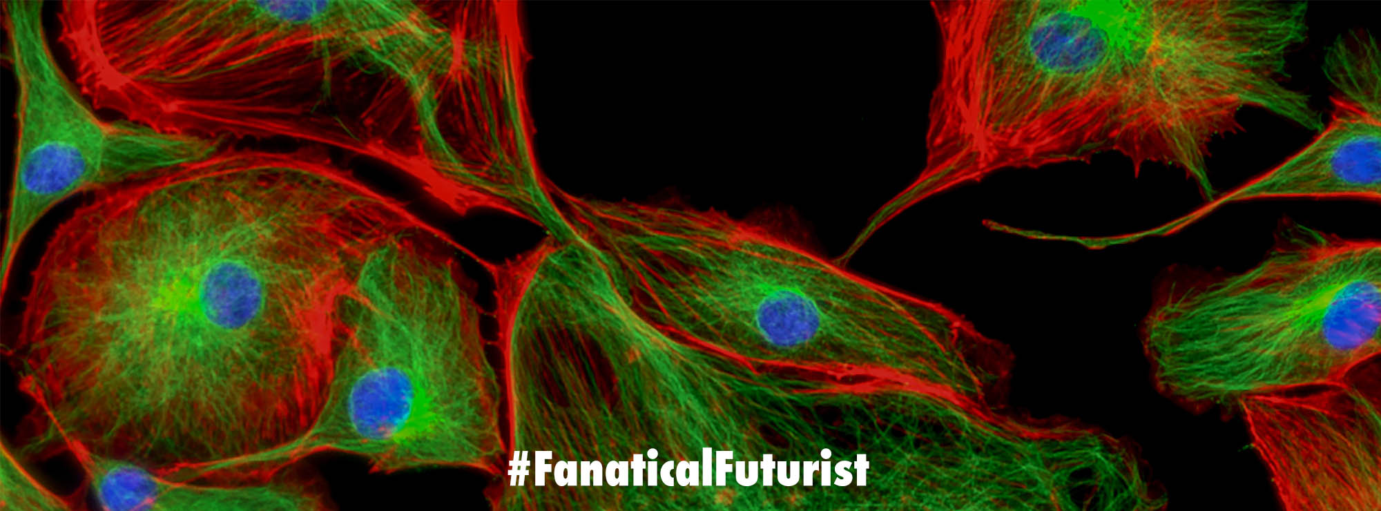 Atlas of Cells is Google Maps for the human body and hits major ...