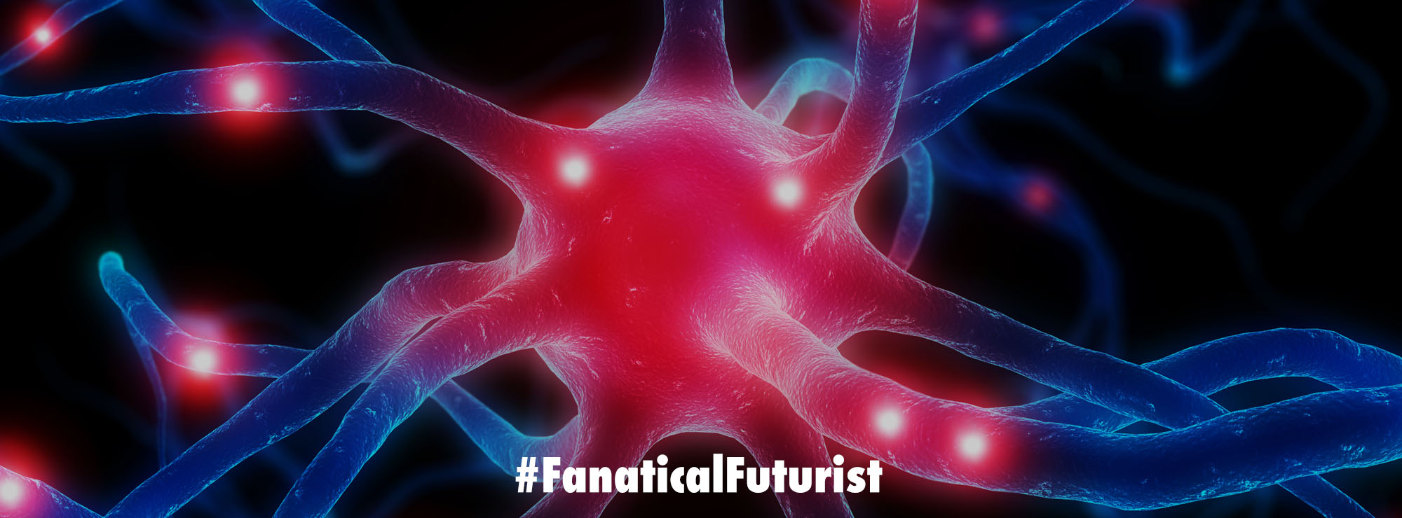 Neuralink competitor uses real human neurons to improve their BMI ...